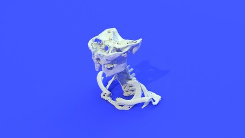 scan Neck - stl file processed - Spine and Pelvis - embodi3D.com