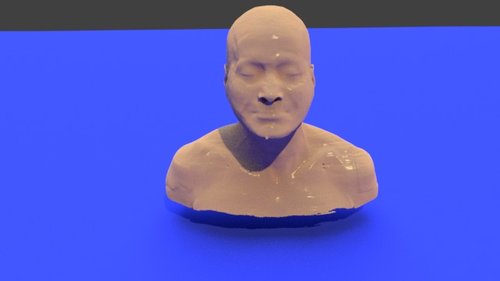 CT Scan - stl file processed - Skin - embodi3D.com