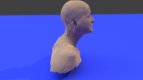 CT Scan - stl file processed - Skin - embodi3D.com