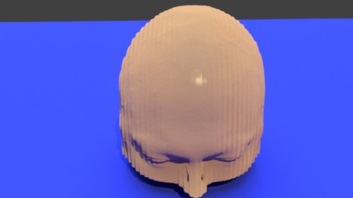 head scan - stl file processed - democratiz3D® Processing - embodi3D.com