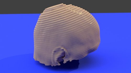 head scan - stl file processed - Skin - embodi3D.com