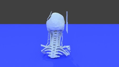 skull - stl file processed - Skull and Face - embodi3D.com