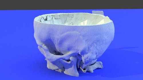 suni - stl file processed - Skull and Face - embodi3D.com