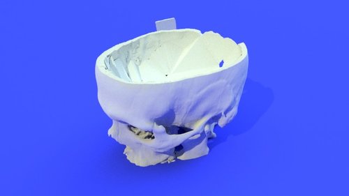 suni - stl file processed - Skull and Face - embodi3D.com