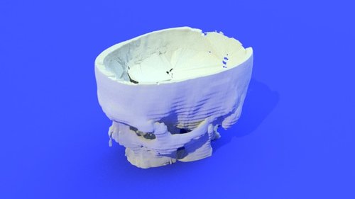 suni - stl file processed - Skull and Face - embodi3D.com