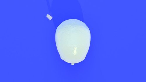 ct cap - stl file processed - Skull and Face - embodi3D.com