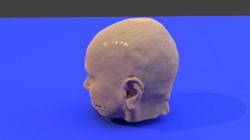 skull 1 - stl file processed - Skin - embodi3D.com
