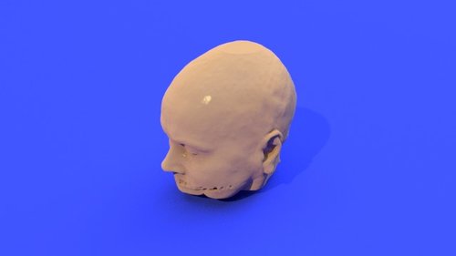 skull 1 - stl file processed - Skin - embodi3D.com