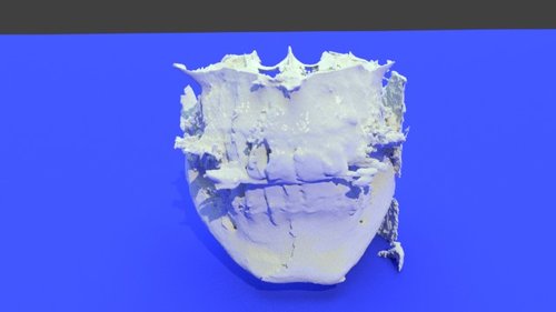 DENTAL ARCH - stl file processed - Dental, Orthodontic, Maxillofacial ...