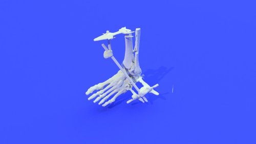 leg - stl file processed - Extremity, Lower (Leg) - embodi3D.com