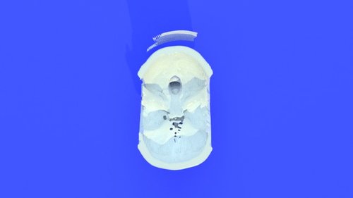 MANJU MEHRA SKULL - stl file processed - Skull and Face - embodi3D.com