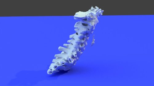 Cervicale - stl file processed - Spine and Pelvis - embodi3D.com