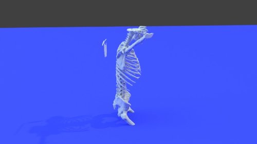 My tutorial CT CAP - stl file processed - Whole body - embodi3D.com