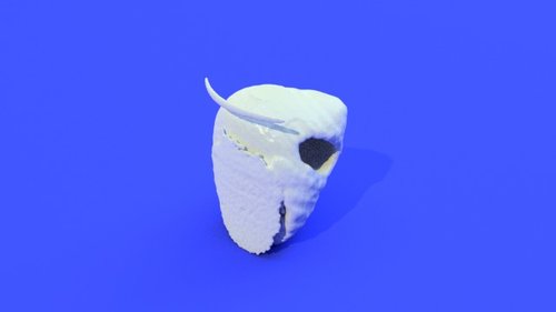 shell stl - stl file processed - Other - embodi3D.com
