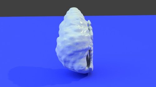 shell stl - stl file processed - Other - embodi3D.com