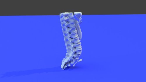 bone segmentation - stl file processed - Spine and Pelvis - embodi3D.com