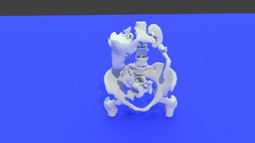 CT Test - stl file processed - Spine and Pelvis - embodi3D.com
