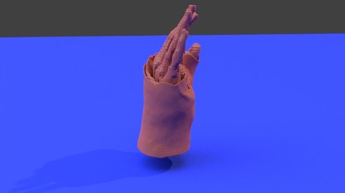 Hand Muscle - stl file processed - Extremity, Upper (Arm) Muscles ...