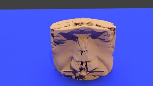 Sinus - stl file processed - Skin - embodi3D.com