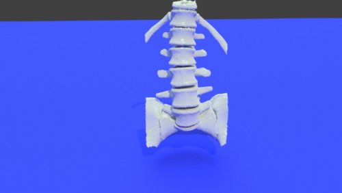 13 Lumbar THINS BONE - stl file processed - Spine and Pelvis - embodi3D.com