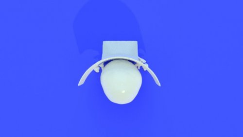 Sample1 CT Scan - stl file processed - Skull and Face - embodi3D.com