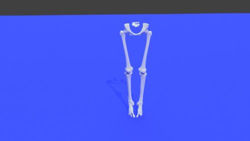 Test - stl file processed - Extremity, Lower (Leg) - embodi3D.com