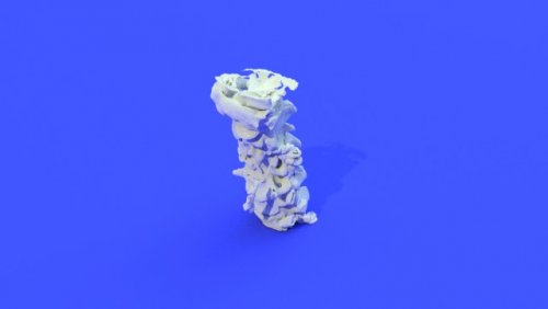 cervical plan prep - stl file processed - Spine and Pelvis - embodi3D.com