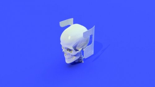 CT - stl file processed - Skull and Face - embodi3D.com