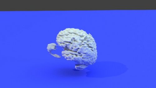 My Brain - stl file processed - Brain - embodi3D.com