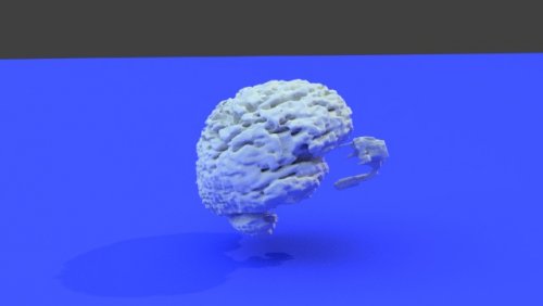 My Brain - stl file processed - Brain - embodi3D.com