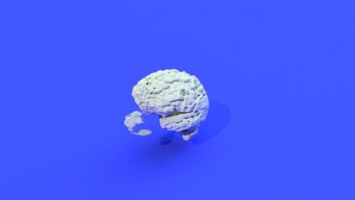 My Brain - stl file processed - Brain - embodi3D.com