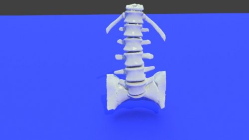 lumbar - stl file processed - Spine and Pelvis - embodi3D.com