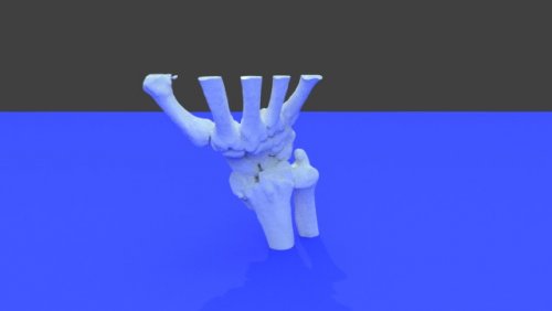 ct wrist - stl file processed - Extremity, Upper (Arm) - embodi3D.com