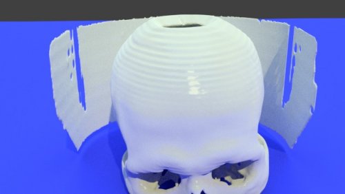 test CT skull file - stl file processed - Skull and Face - embodi3D.com