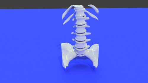 ct lumbar b - stl file processed - Spine and Pelvis - embodi3D.com