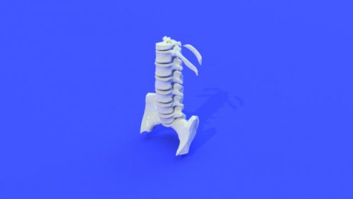 ct lumbar b - stl file processed - Spine and Pelvis - embodi3D.com