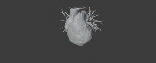 Heart stl model for 3dn printing - Heart - embodi3D.com