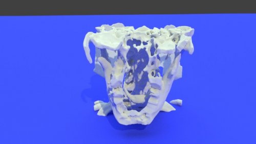 ct final - stl file processed - democratiz3D® Processing - embodi3D.com