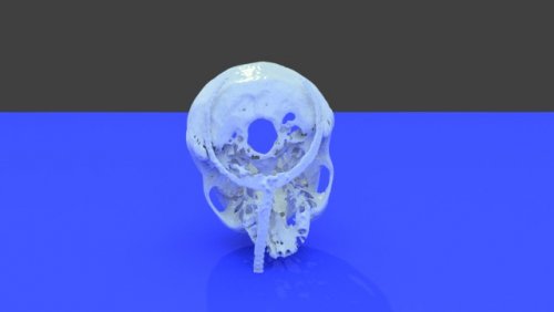 Skull - stl file processed - Skull and Face - embodi3D.com
