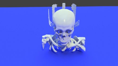 Skull Neck - stl file processed - Skull and Face - embodi3D.com