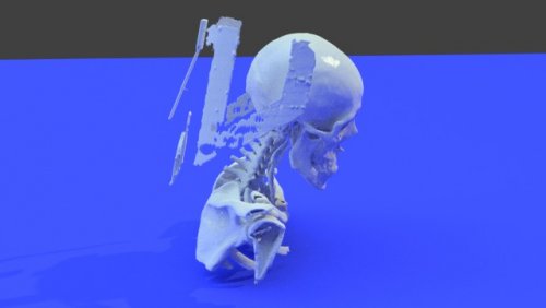 Skull Neck - stl file processed - Skull and Face - embodi3D.com