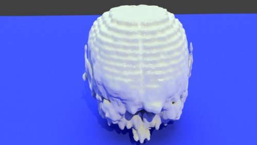 brain - stl file processed - Skull and Face - embodi3D.com