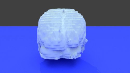 brain - stl file processed - Skull and Face - embodi3D.com