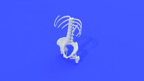 Test 1 js - stl file processed - Other organs - embodi3D.com