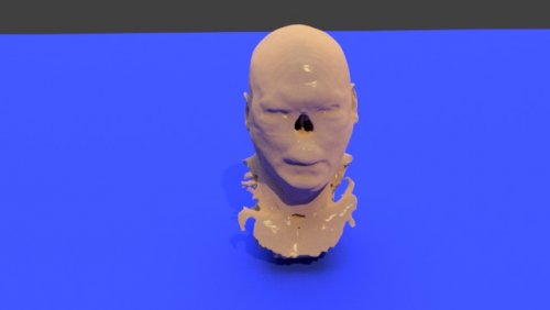 face - stl file processed - Skin - embodi3D.com