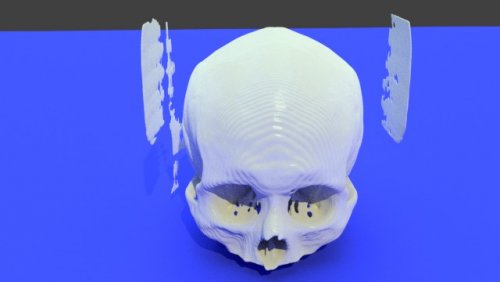 SCAN - stl file processed - Skull and Face - embodi3D.com