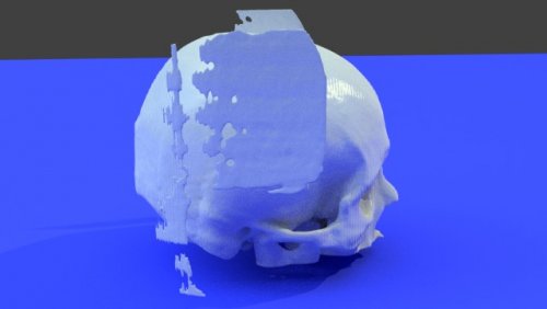 SCAN - stl file processed - Skull and Face - embodi3D.com