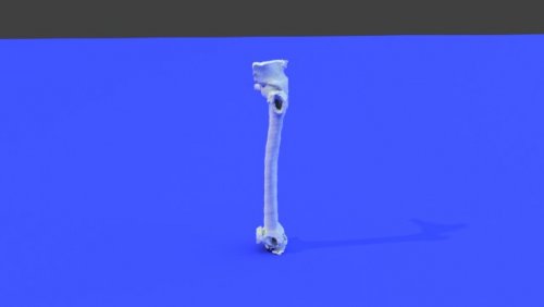 femur bone - stl file processed - Extremity, Lower (Leg) - embodi3D.com