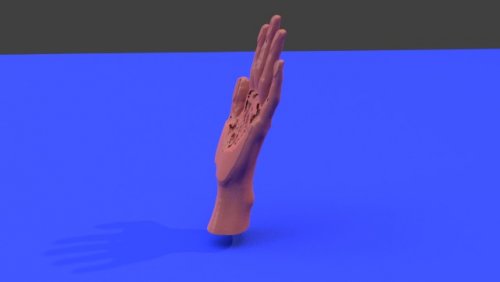 CT hand SE000002 2 - stl file processed - Extremity, Upper (Arm ...