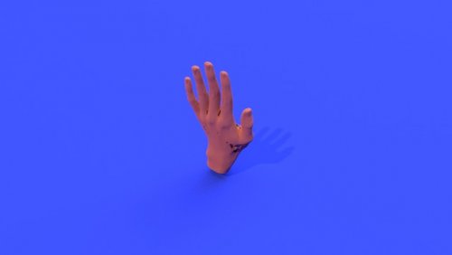CT hand SE000002 2 - stl file processed - Extremity, Upper (Arm ...